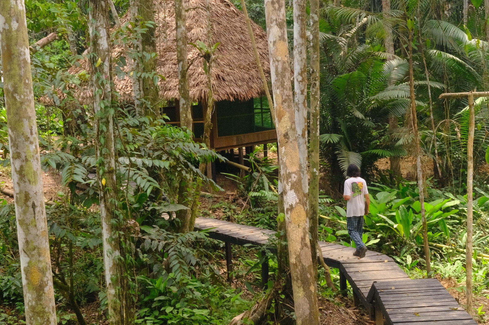 How to Get from Leticia to Iquitos by Boat: Tips, Steps & Traveler Ins